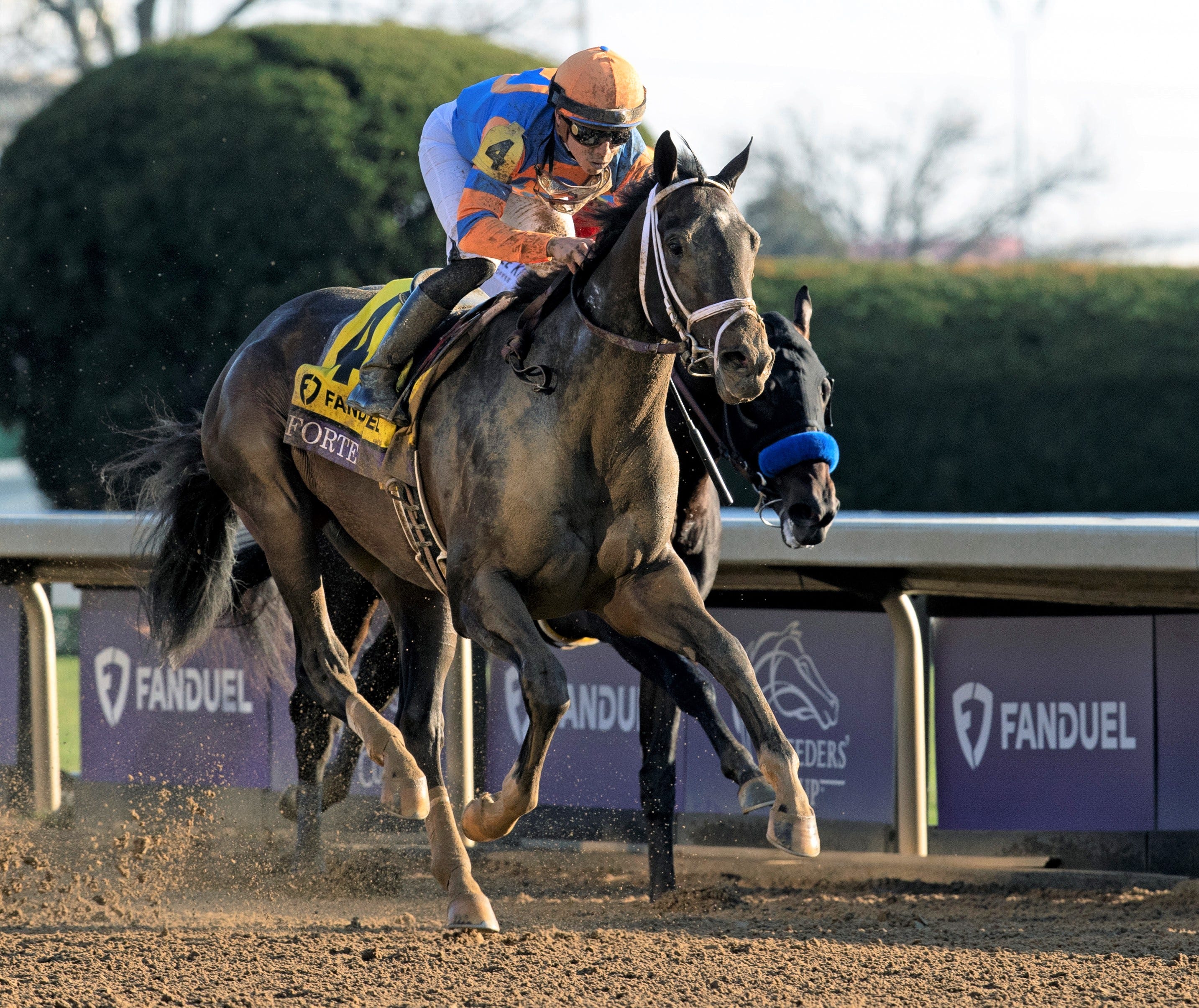 Breeders' Cup Juvenile: Forte's late move too much for Cave Rock